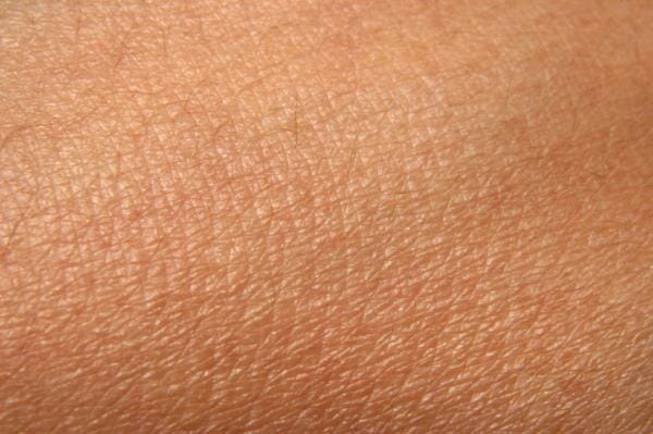 Functies van de huid | Huid | Menselijk Lichaam - Menselijk Lichaam