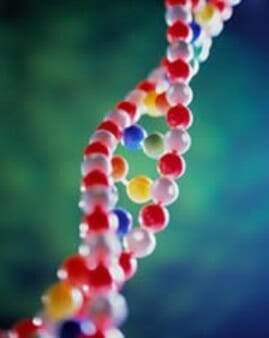 Genen | Cel | Menselijk Lichaam - Menselijk Lichaam