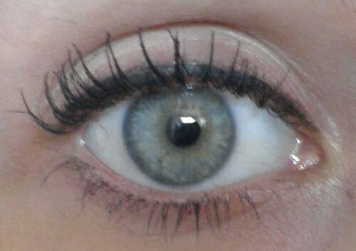 Ooglid | Het oog | Menselijk Lichaam - Menselijk Lichaam